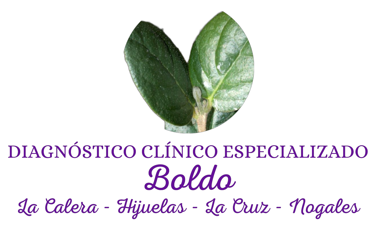 Línea DCE – CREAPSI