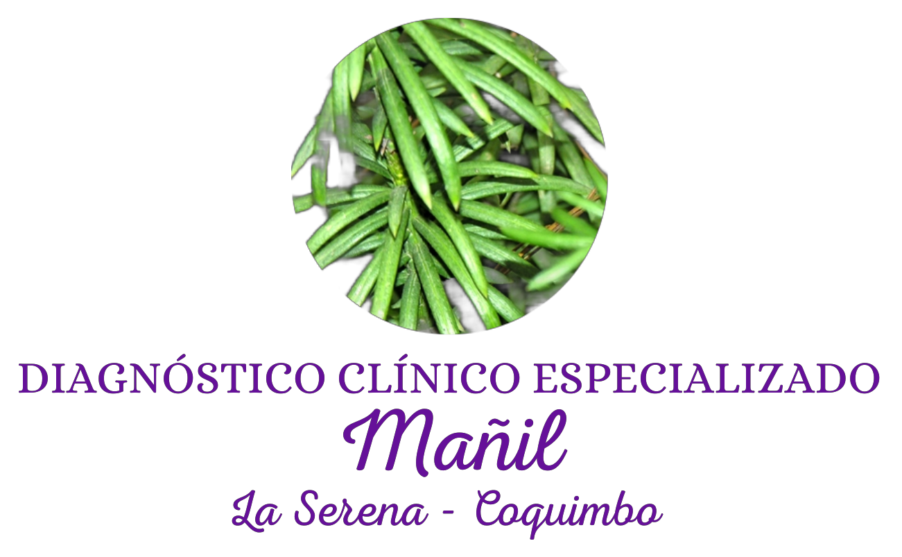 Línea DCE – CREAPSI