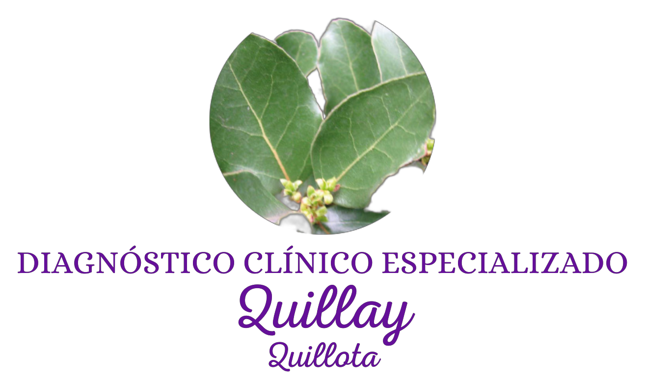 Línea DCE – CREAPSI